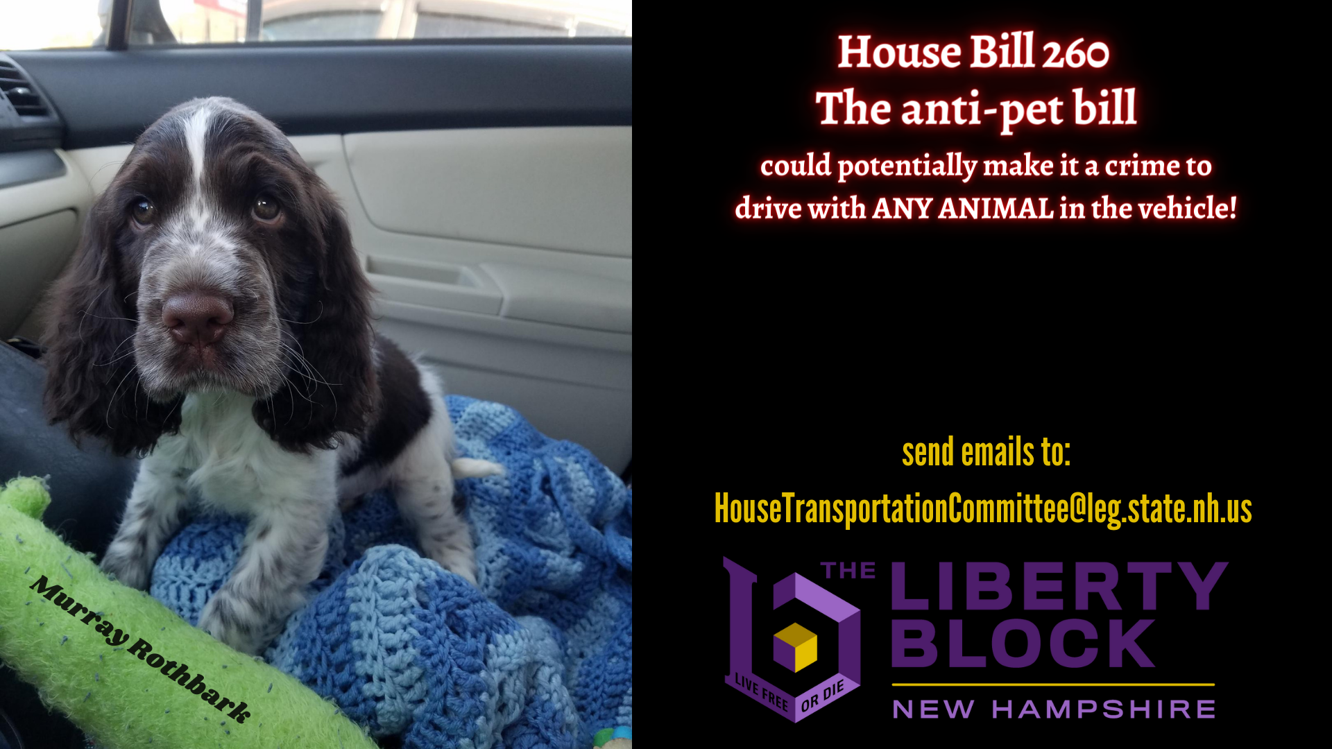 Bad Bill Could Ban Driving With Animal In Vehicle - The Liberty Block
